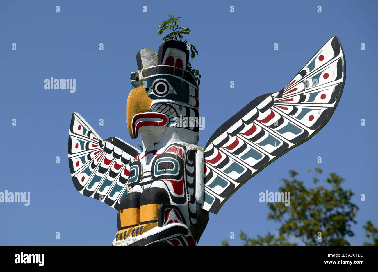 Totem Pole Stanley Park Vancouver Canada Picture by Barry Bland 25 5 04 ...