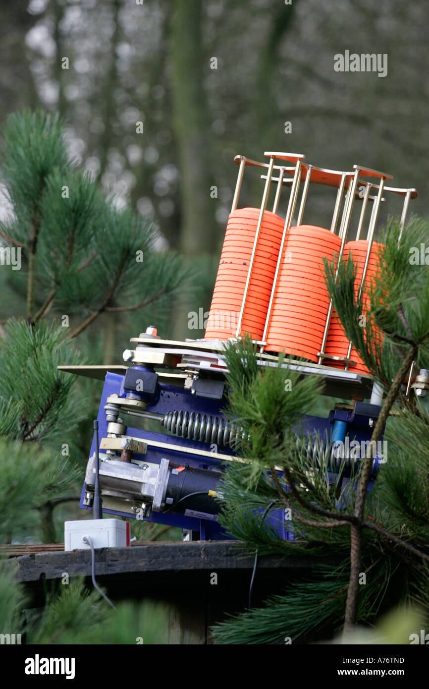 clay pigeon launcher full of neon orange clays in forest on december ...