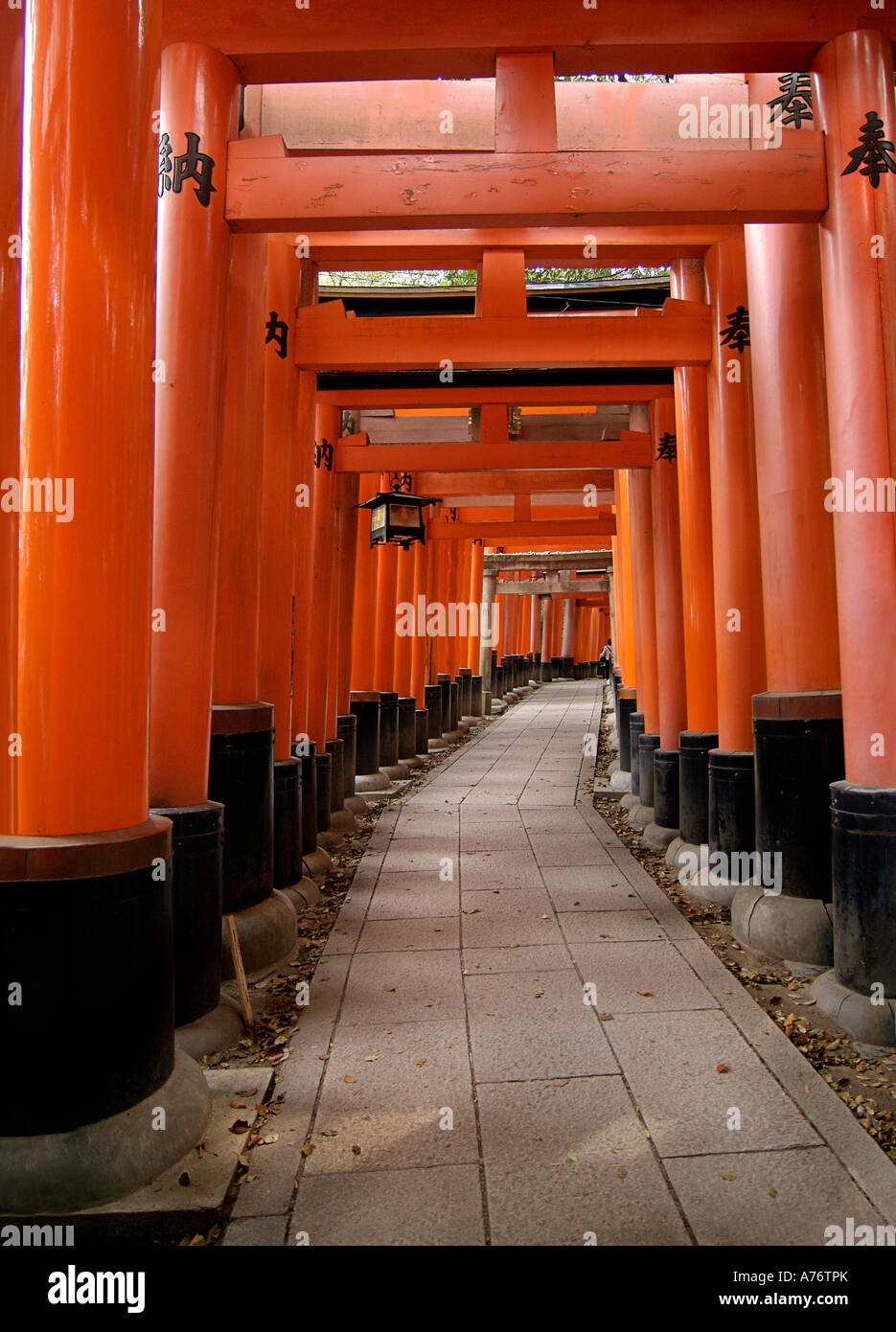Orange laquered Torii gates at Fushimi Inari Taisha shrine in Kyoto ...