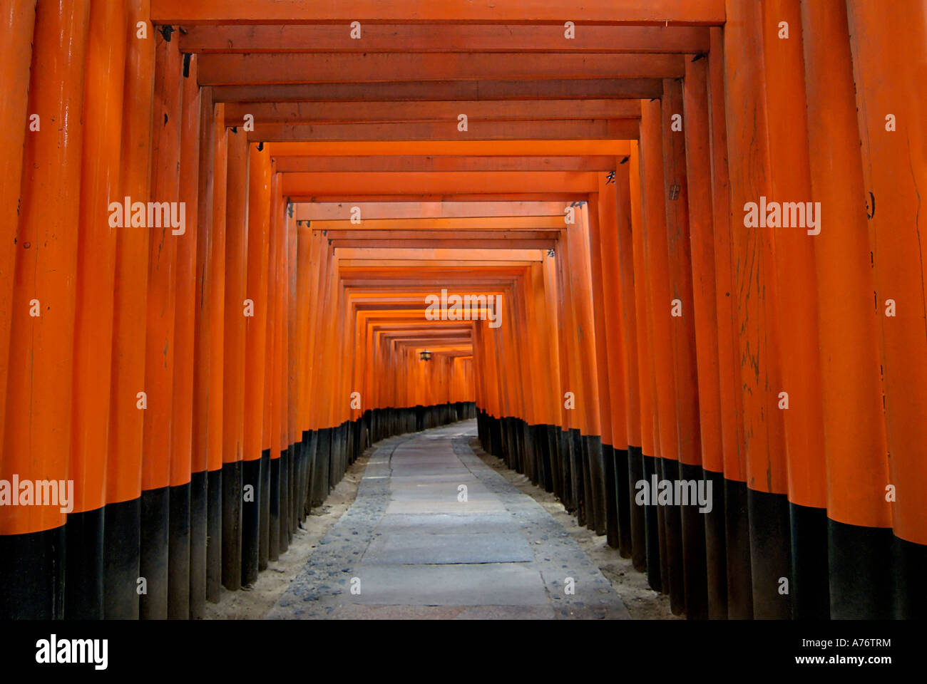 Orange laquered Torii gates at Fushimi Inari Taisha shrine in Kyoto ...