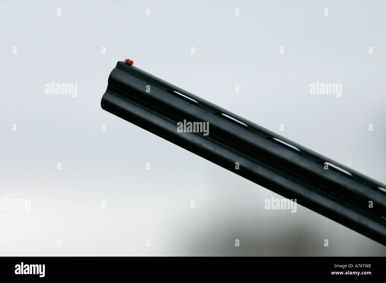 Shotgun barrel hi-res stock photography and images - Alamy