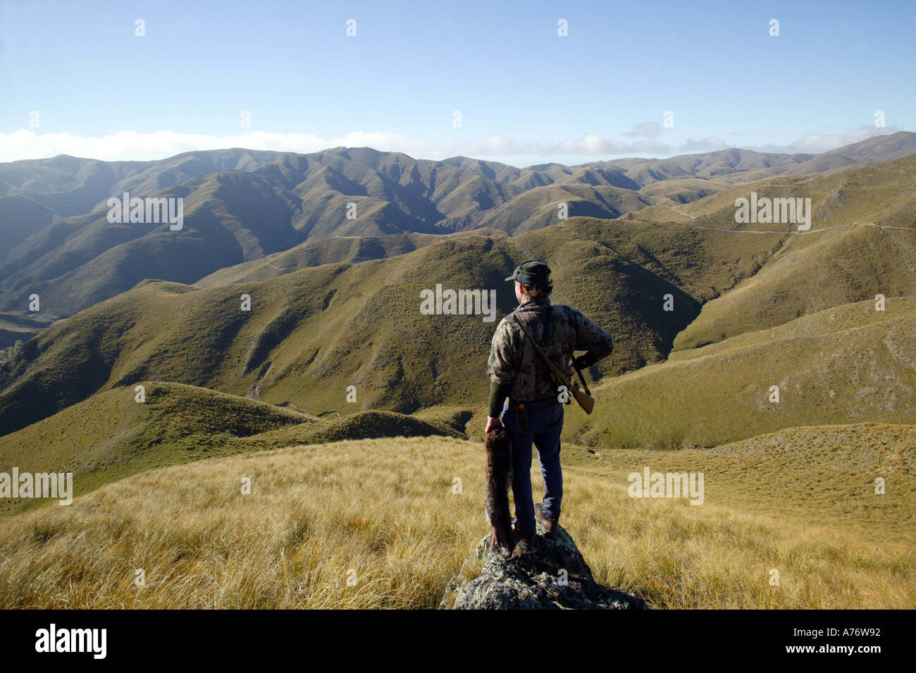 Waimate hi-res stock photography and images - Alamy