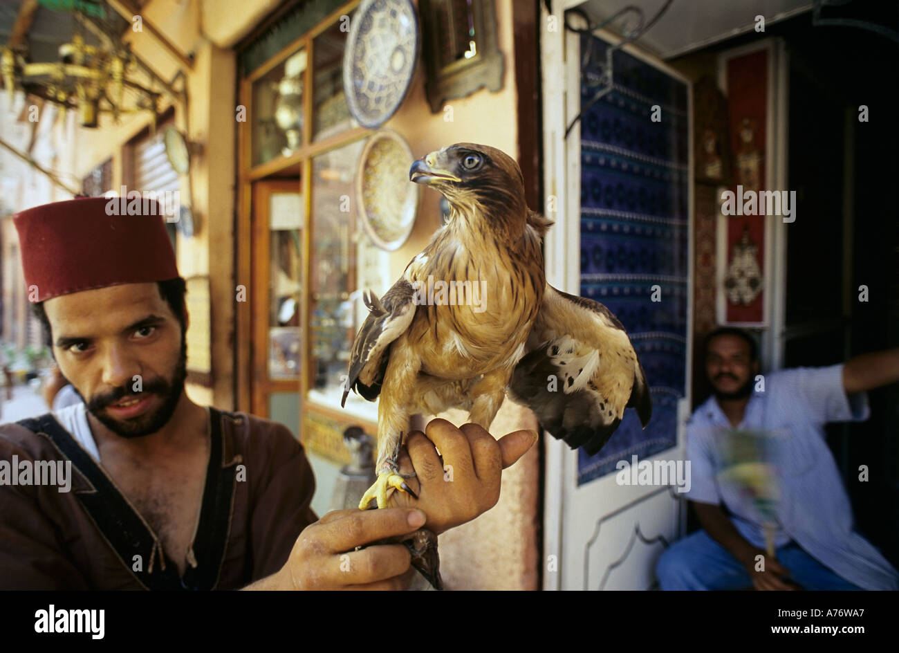Falconer Falcon Hawk High Resolution Stock Photography and Images - Alamy