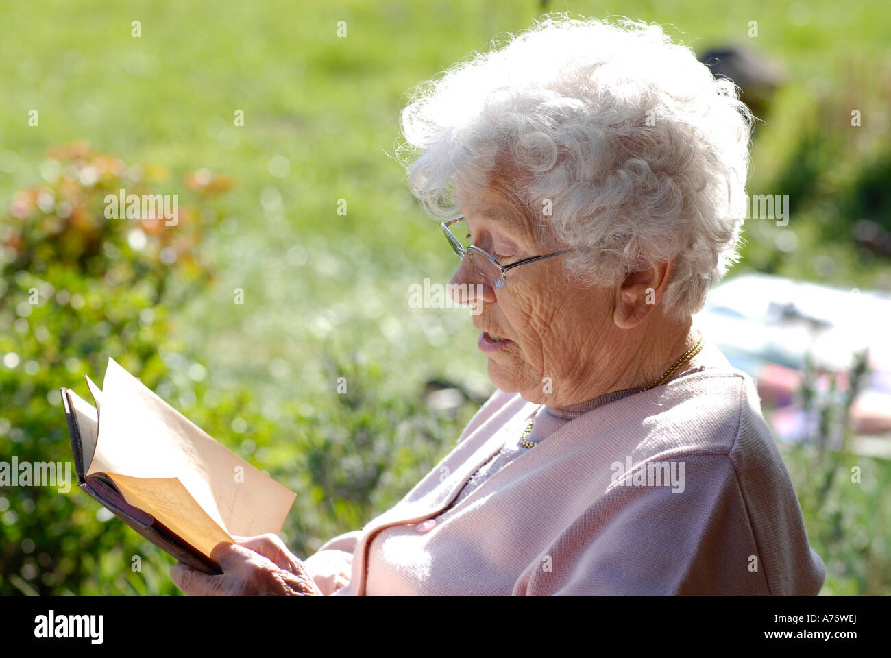 Female senior citizen reading an old diary Stock Photo - Alamy