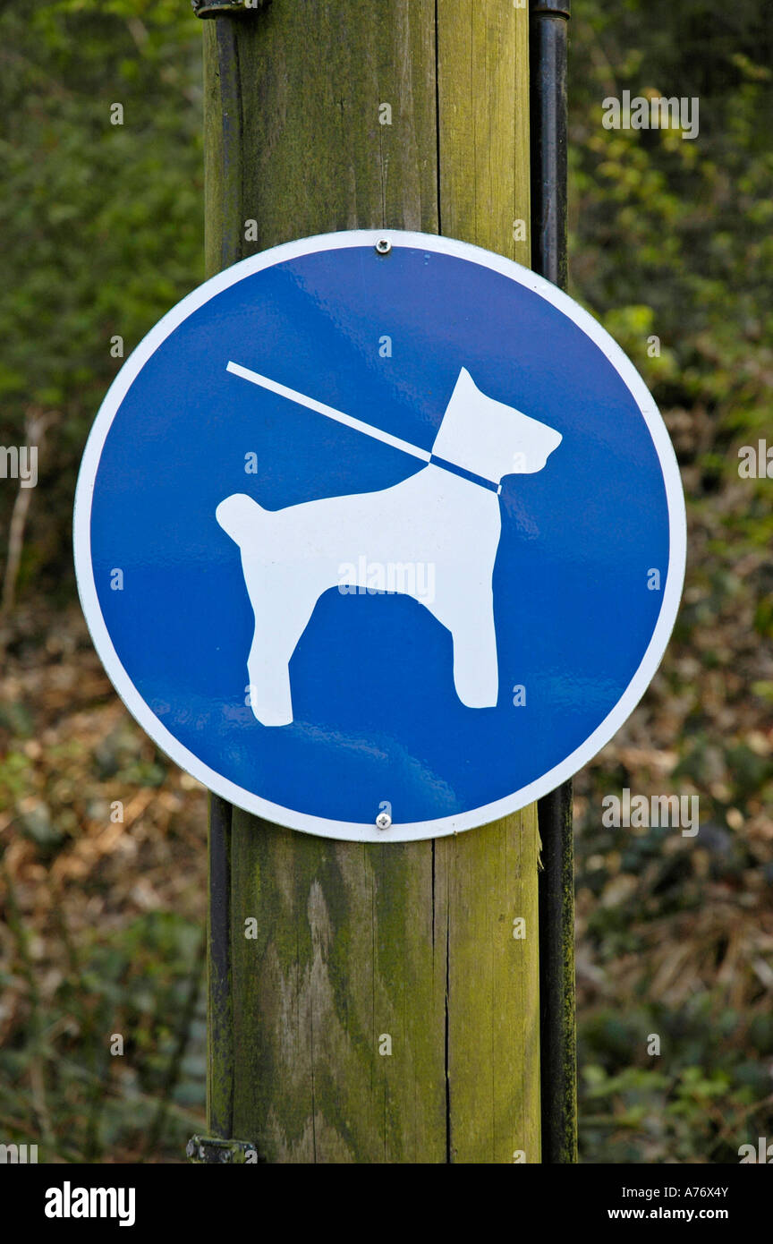 Keep dogs on a leash, sign Stock Photo - Alamy