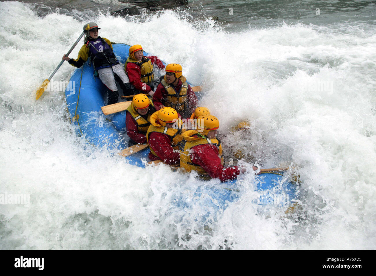 White Water Rafting Shotover River Queenstown New Zealand Stock Photo ...
