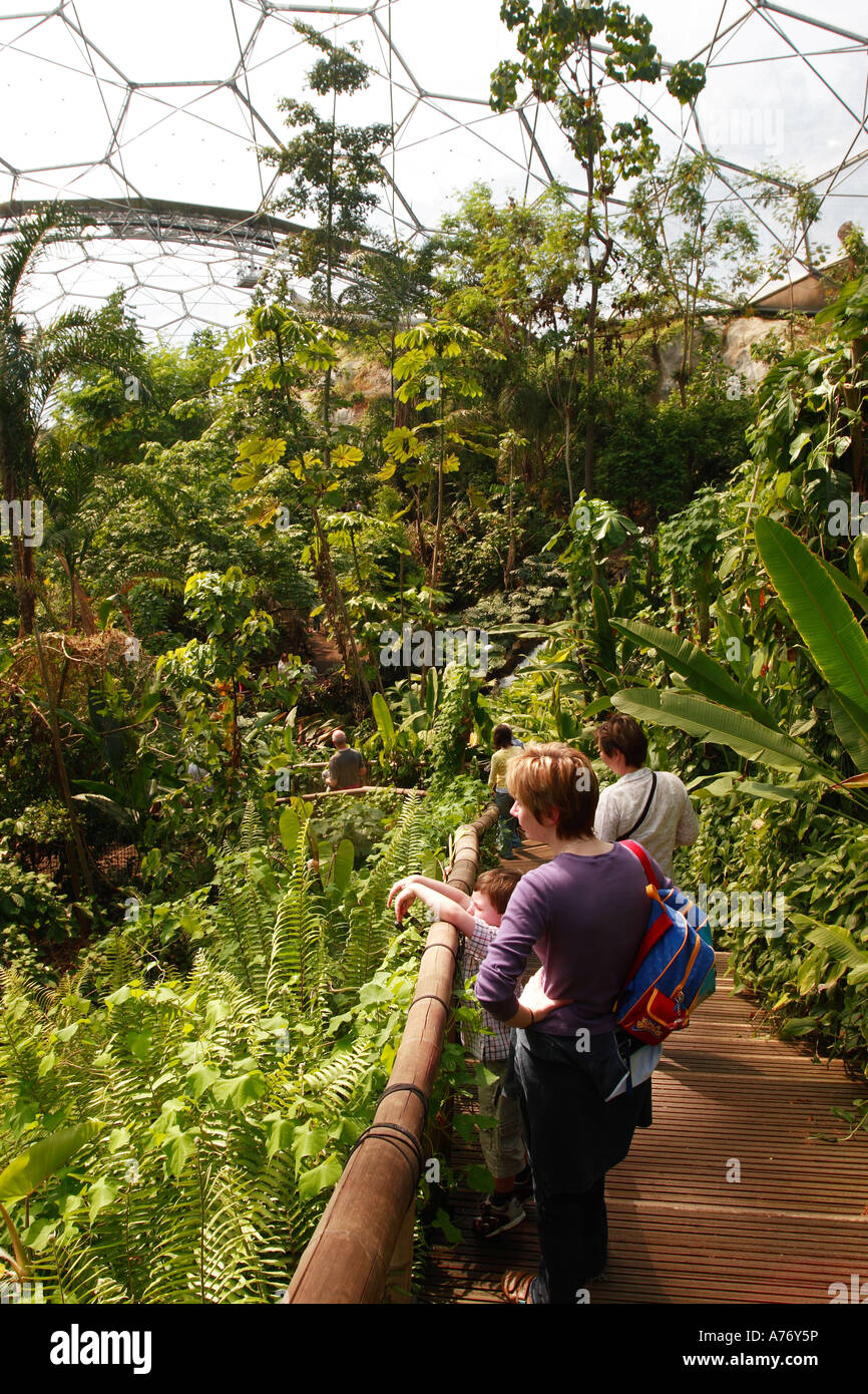 Interior view eden project hi-res stock photography and images - Alamy