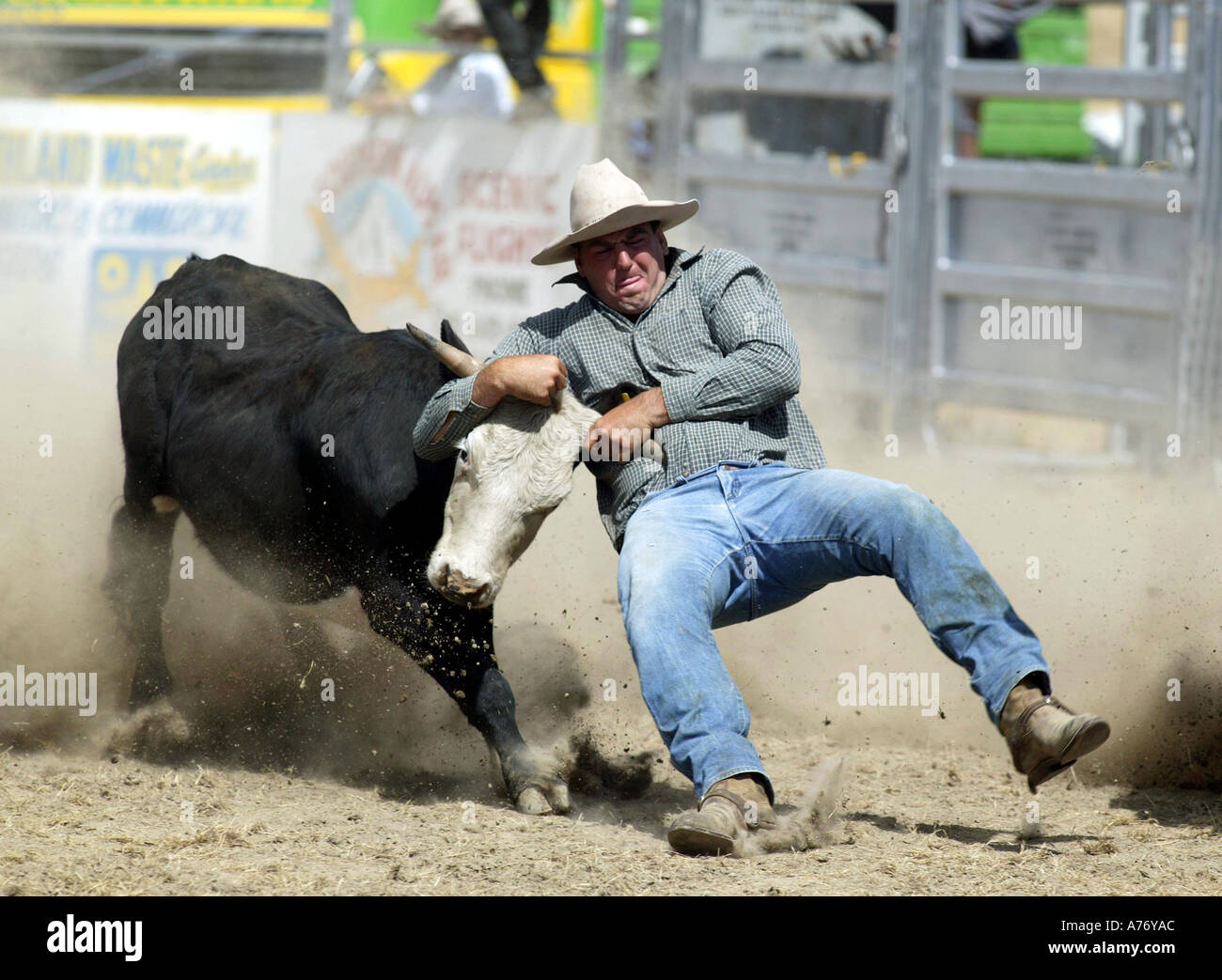 Rodeo Steer Wrestling