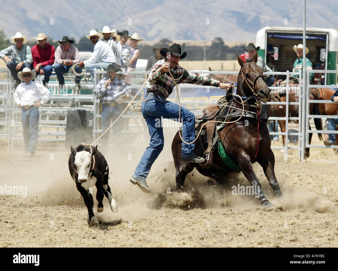 Wanaka Rodeo Wanaka New Zealand Picture by Barry Bland Stock Photo - Alamy