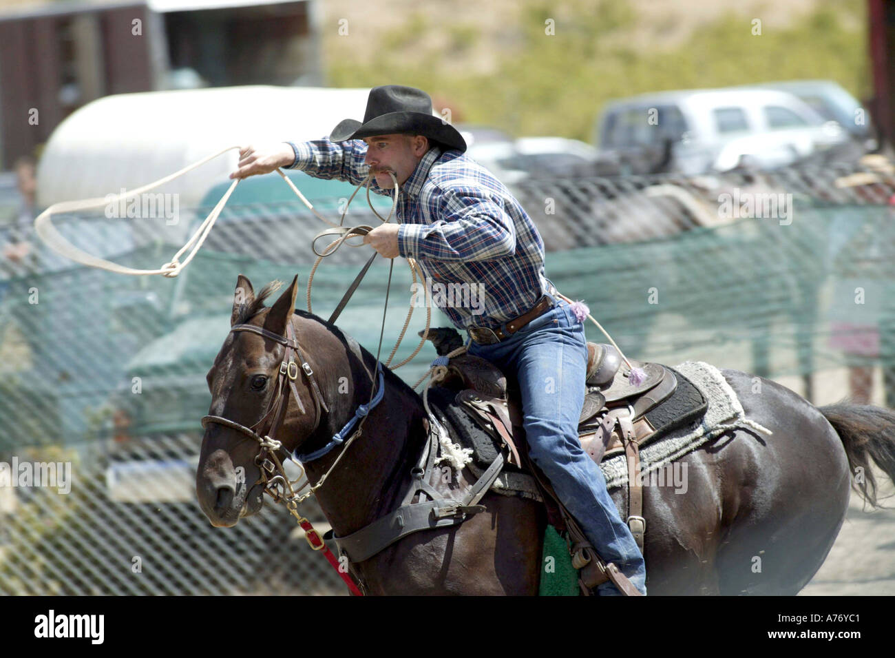 Wanaka Rodeo Wanaka New Zealand Picture by Barry Bland Stock Photo - Alamy