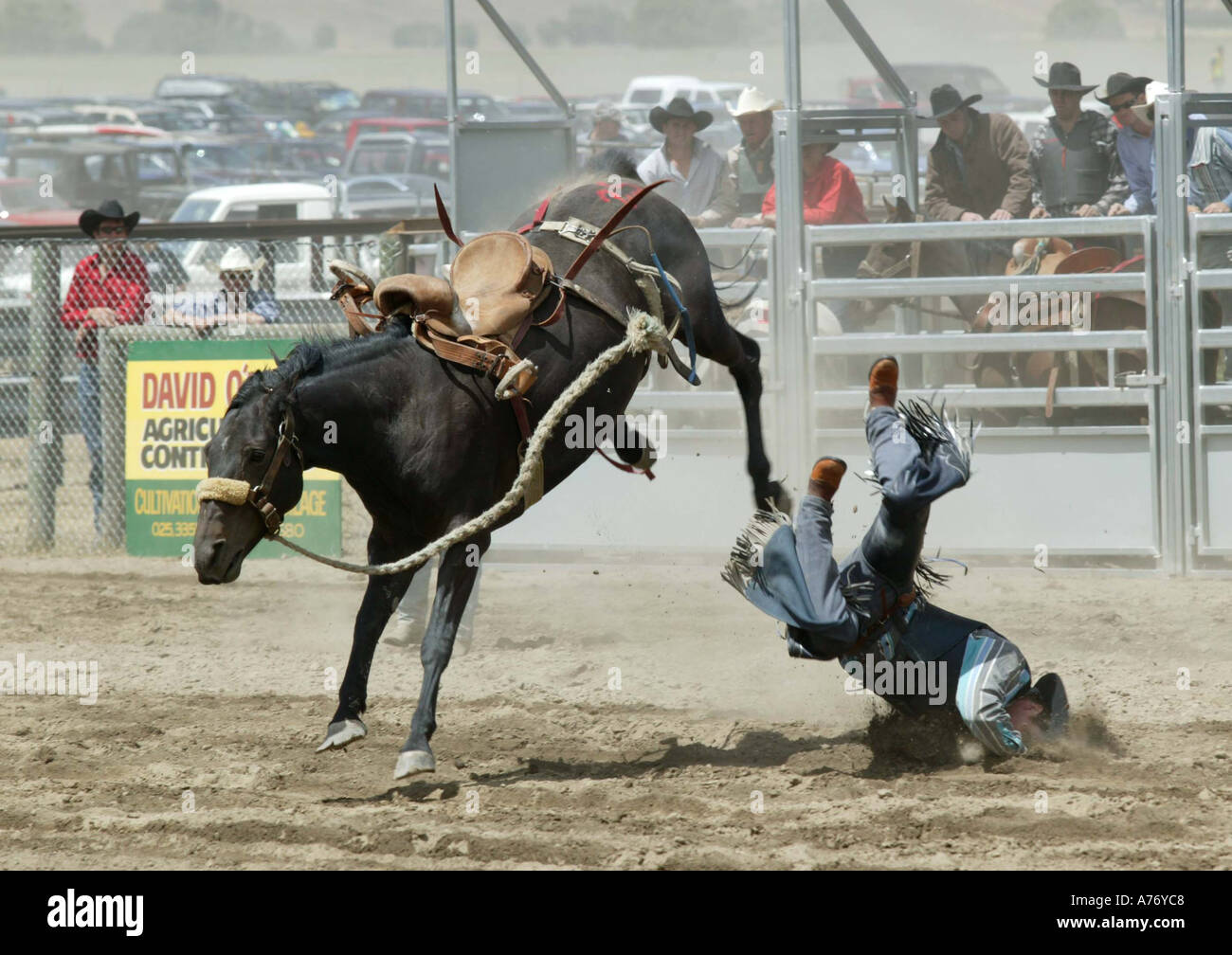 Rodeo New Zealand High Resolution Stock Photography and Images - Alamy
