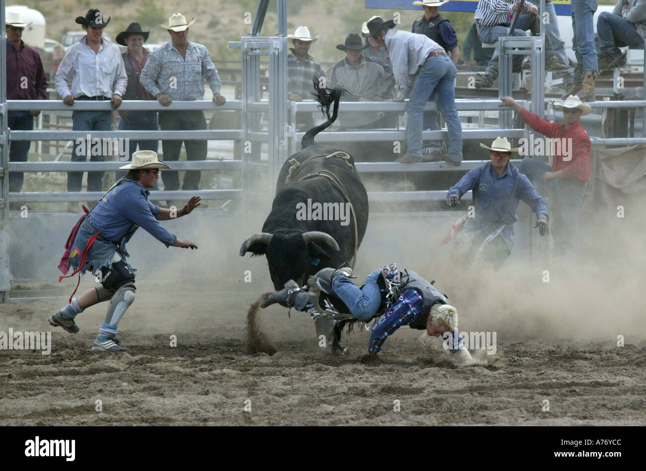 Rodeo new zealand hi-res stock photography and images - Alamy