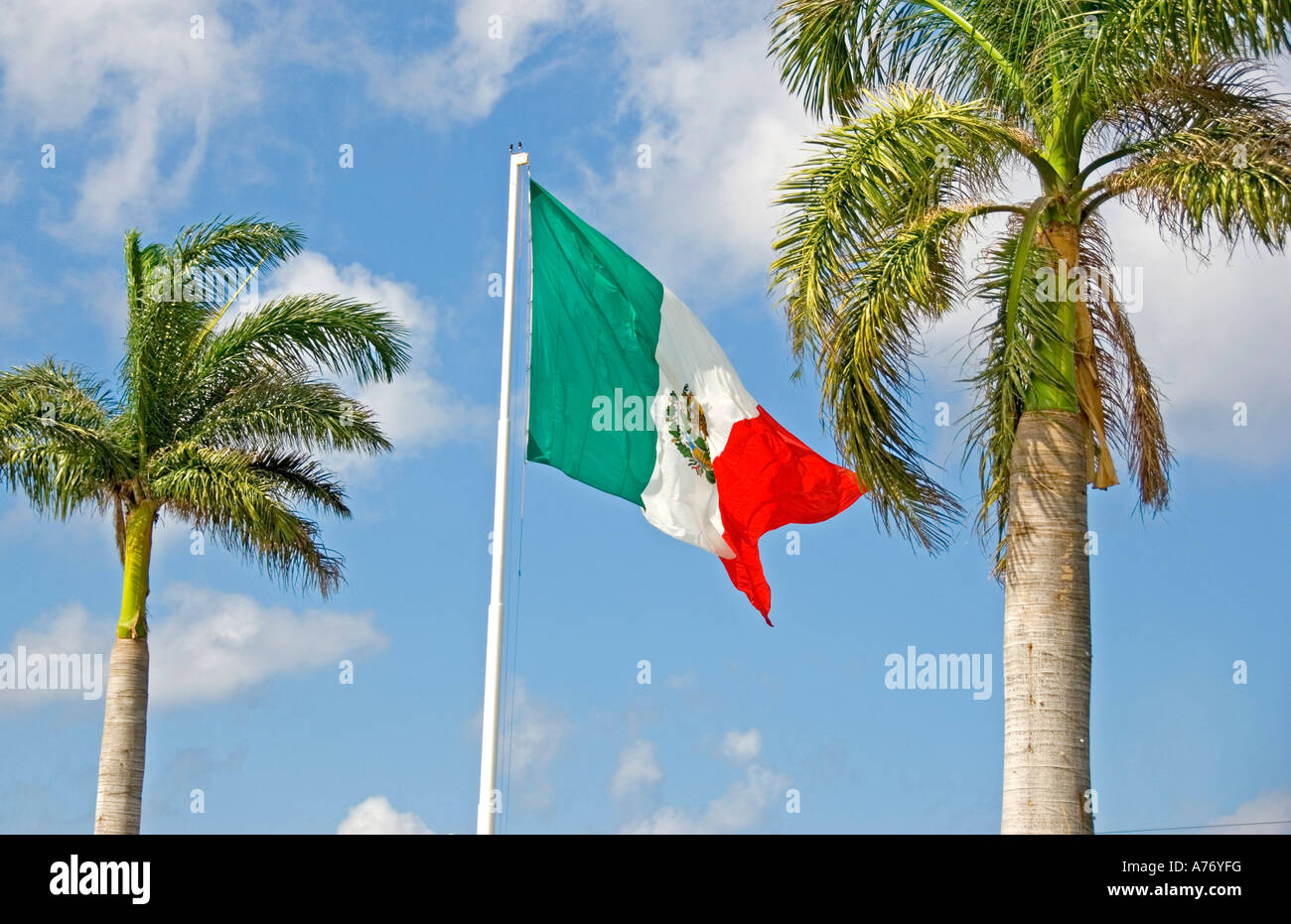 Mexican flag between two palm trees Stock Photo - Alamy