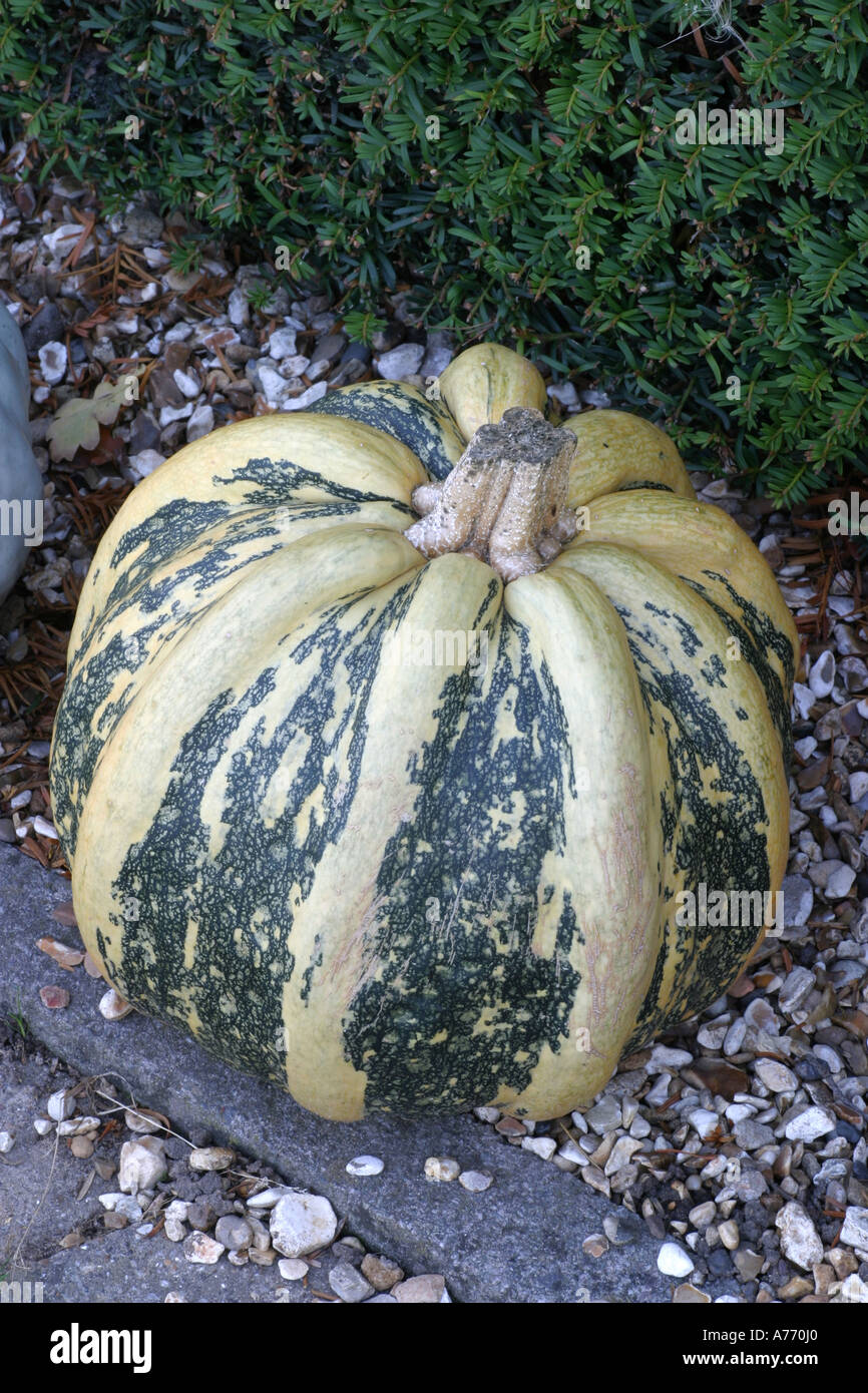 Tondu hi-res stock photography and images - Alamy