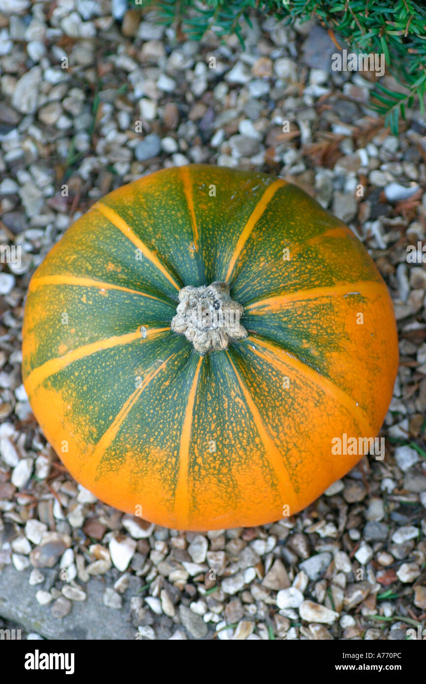 8 Ball Squash High Resolution Stock Photography and Images - Alamy