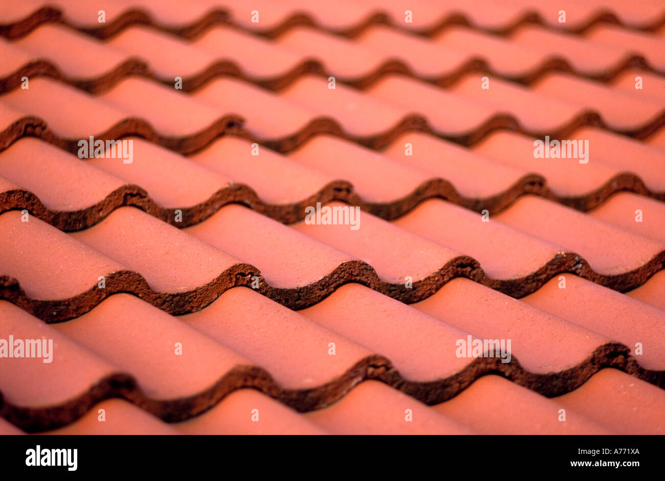 Close up view of undulating terracota roof tiles Stock Photo - Alamy