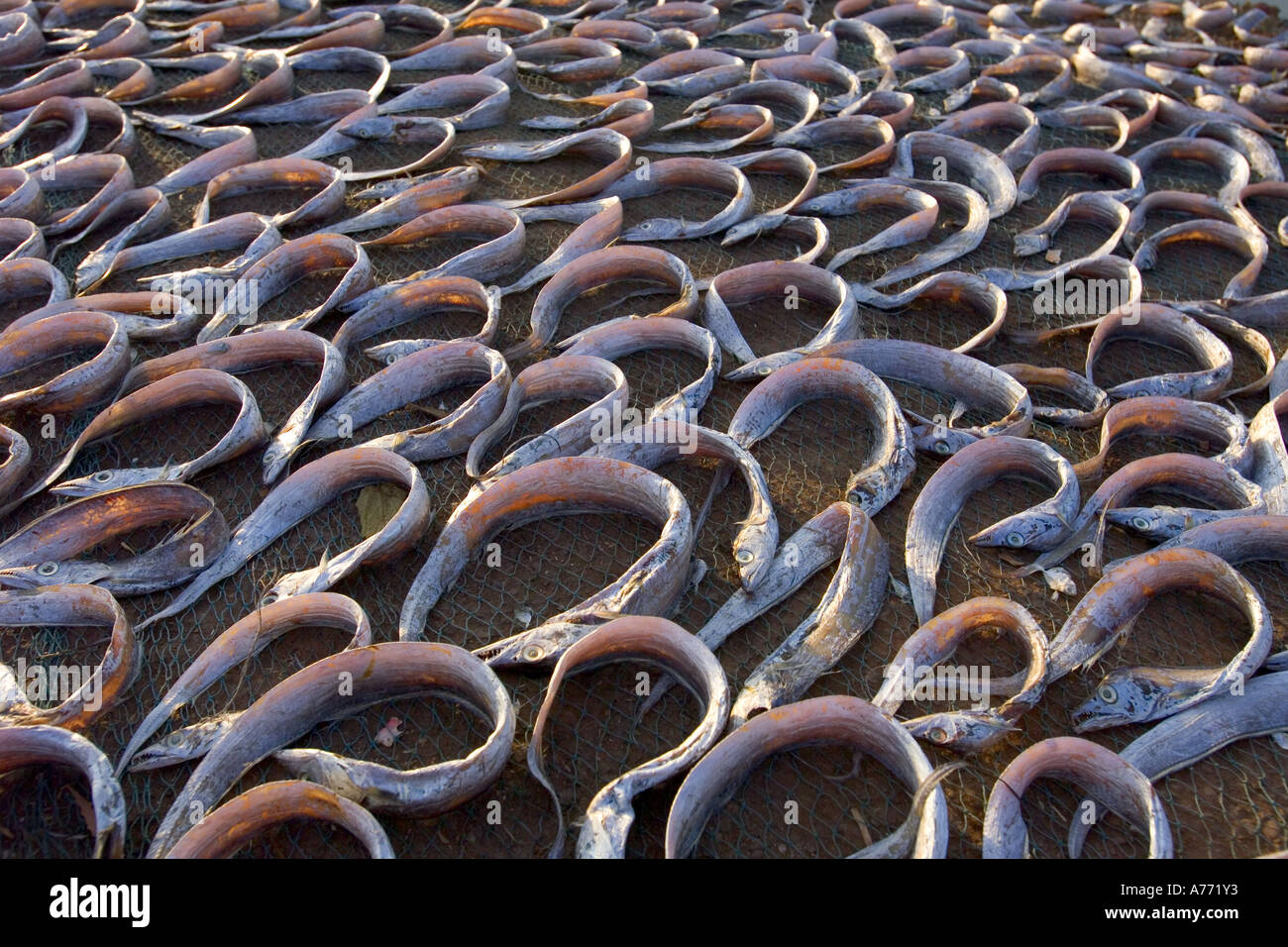 Drying oil hi-res stock photography and images - Alamy