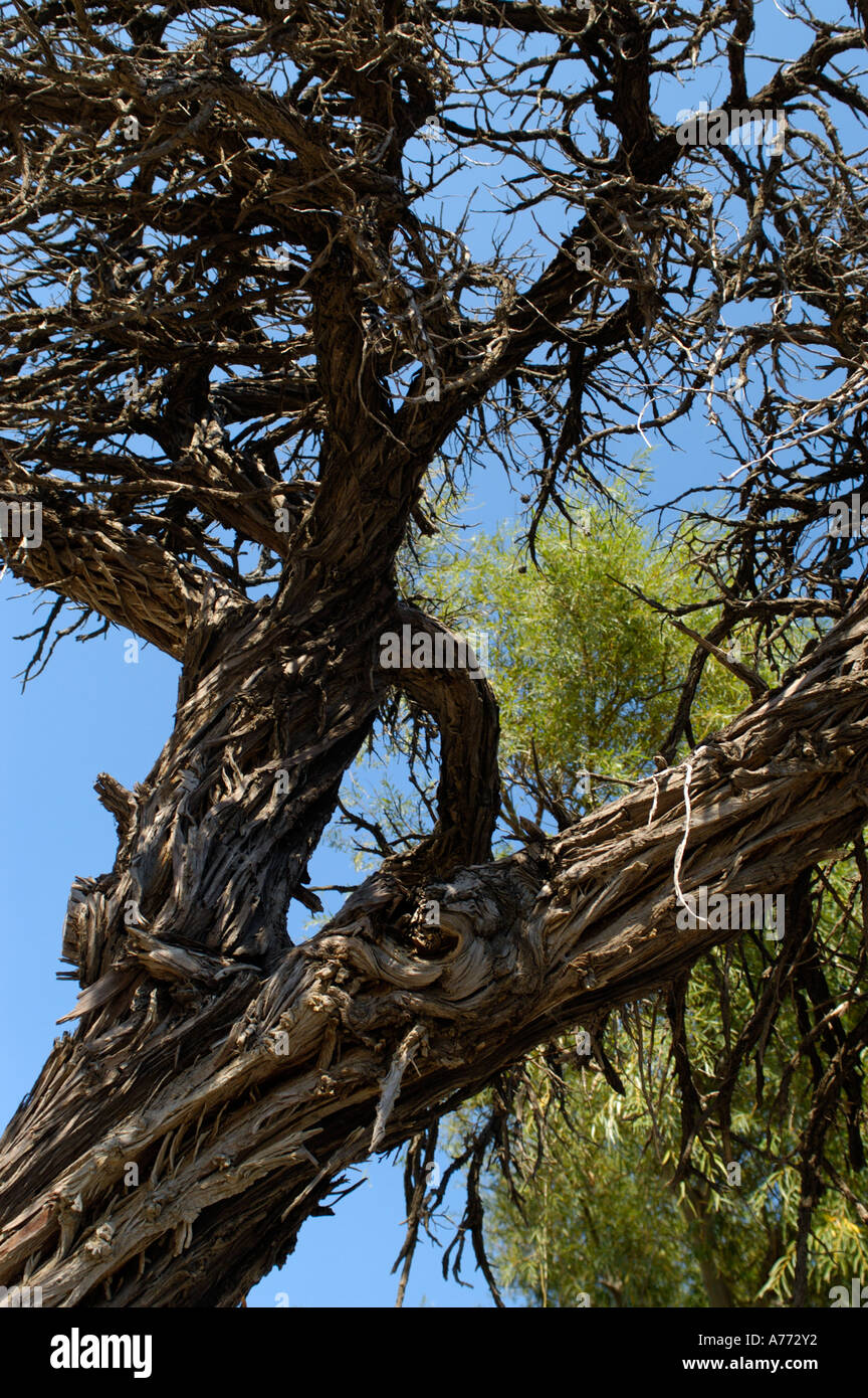 Krete hi-res stock photography and images - Alamy