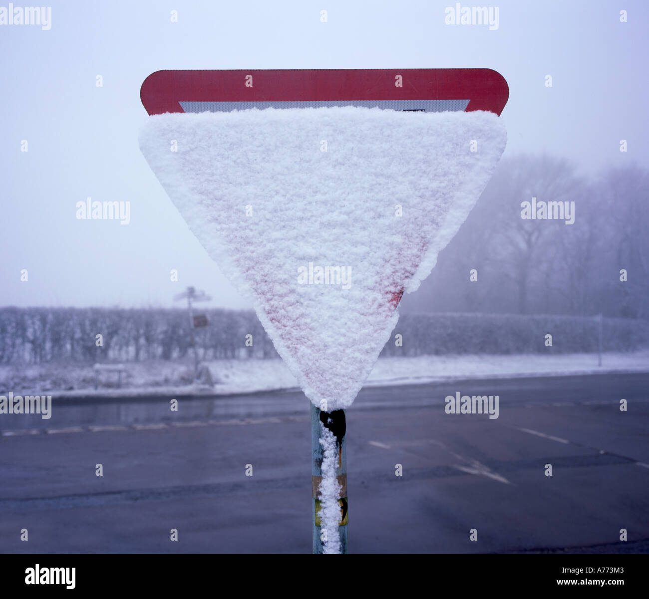 Give way sign with fresh snow obscuring the sign. Kent, England, UK ...