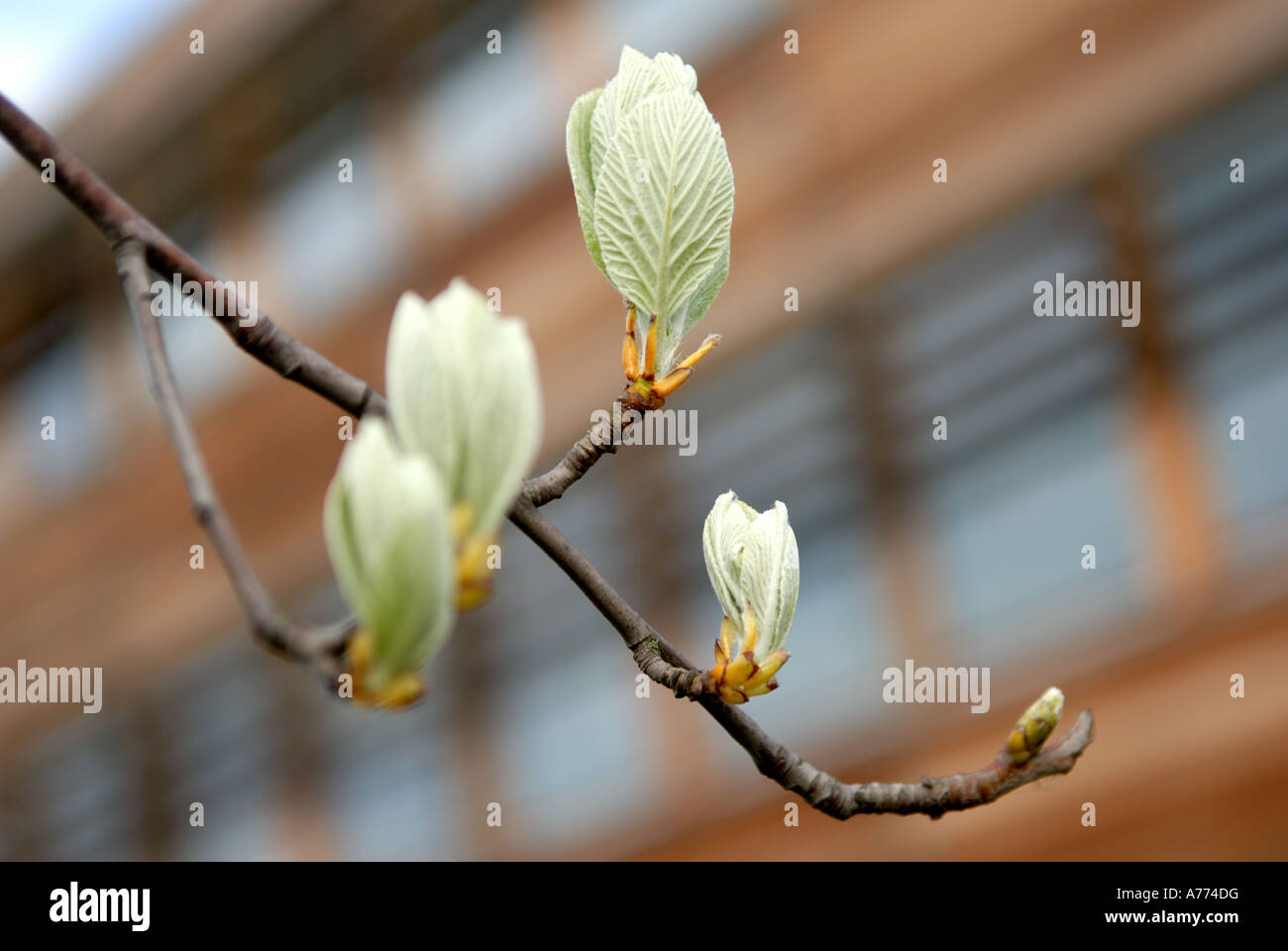 Begining new life hi-res stock photography and images - Alamy