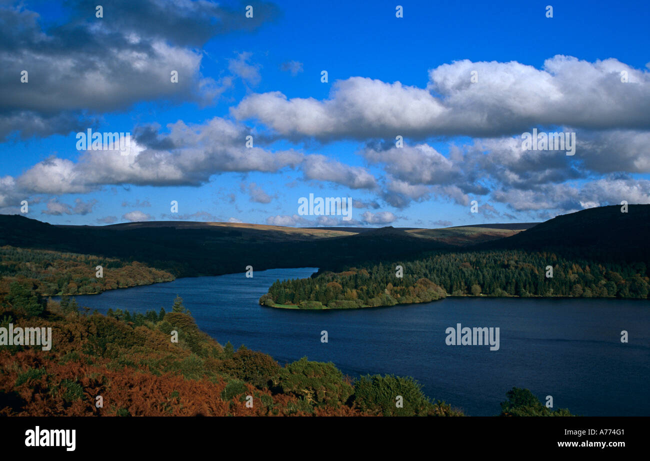 Burrator forest hi-res stock photography and images - Alamy