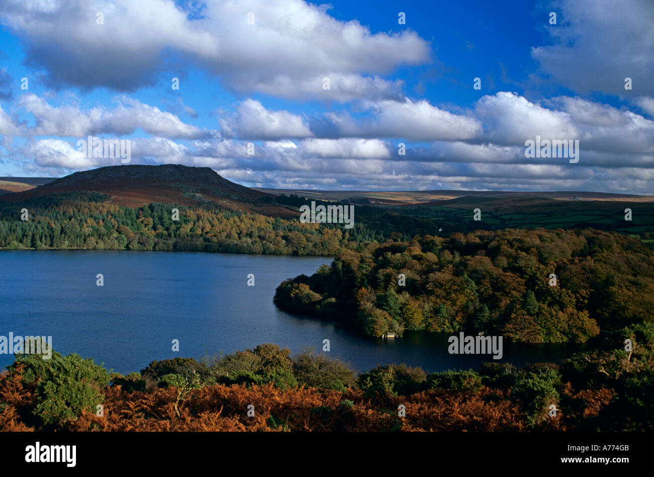 Burrator Reservoir. Dartmoor National Park, England Stock Photo - Alamy