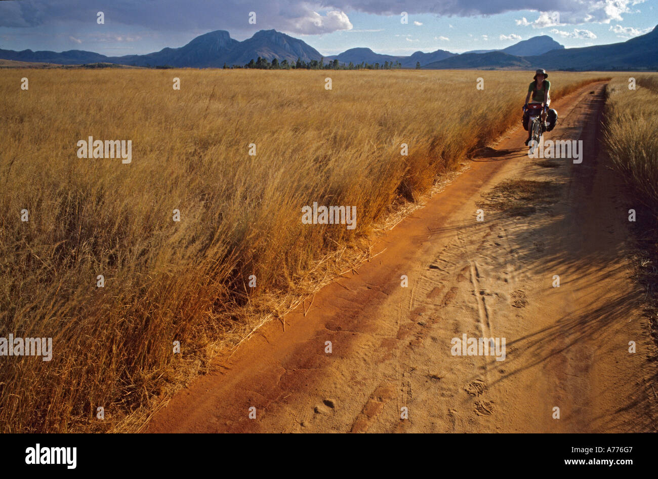 Lone female touring cyclist on remote dirt road in Madagascar with tall ...
