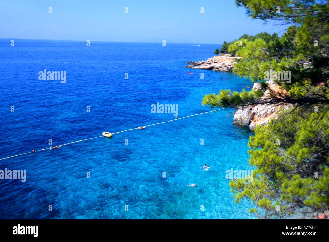 Hvar jagodna trees hi-res stock photography and images - Alamy