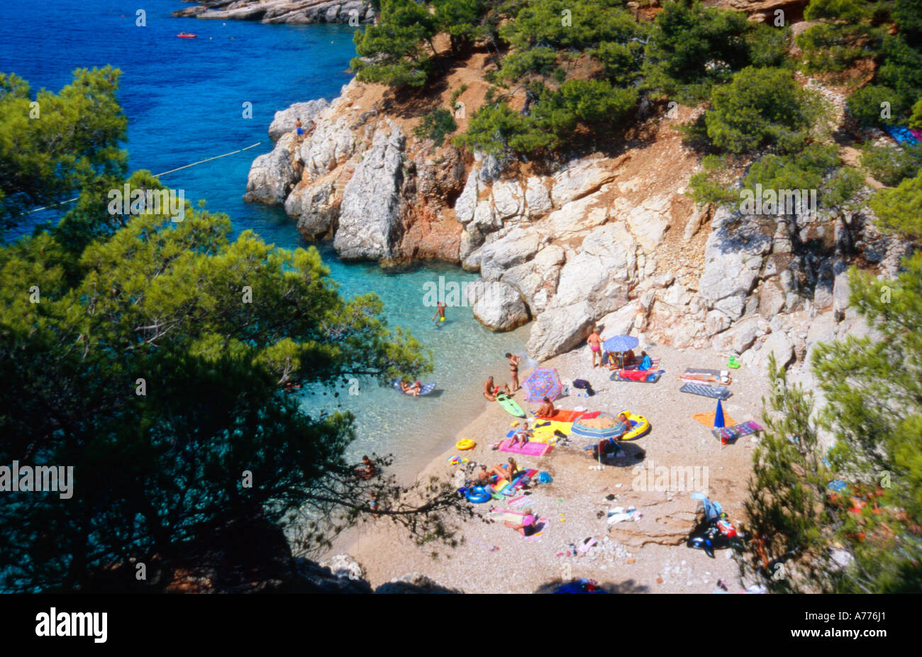 Hvar jagodna trees hi-res stock photography and images - Alamy