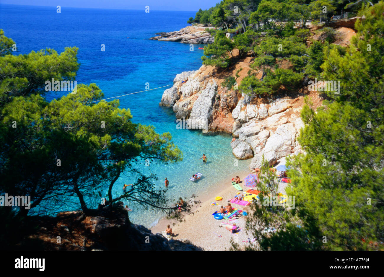 Hvar jagodna trees hi-res stock photography and images - Alamy