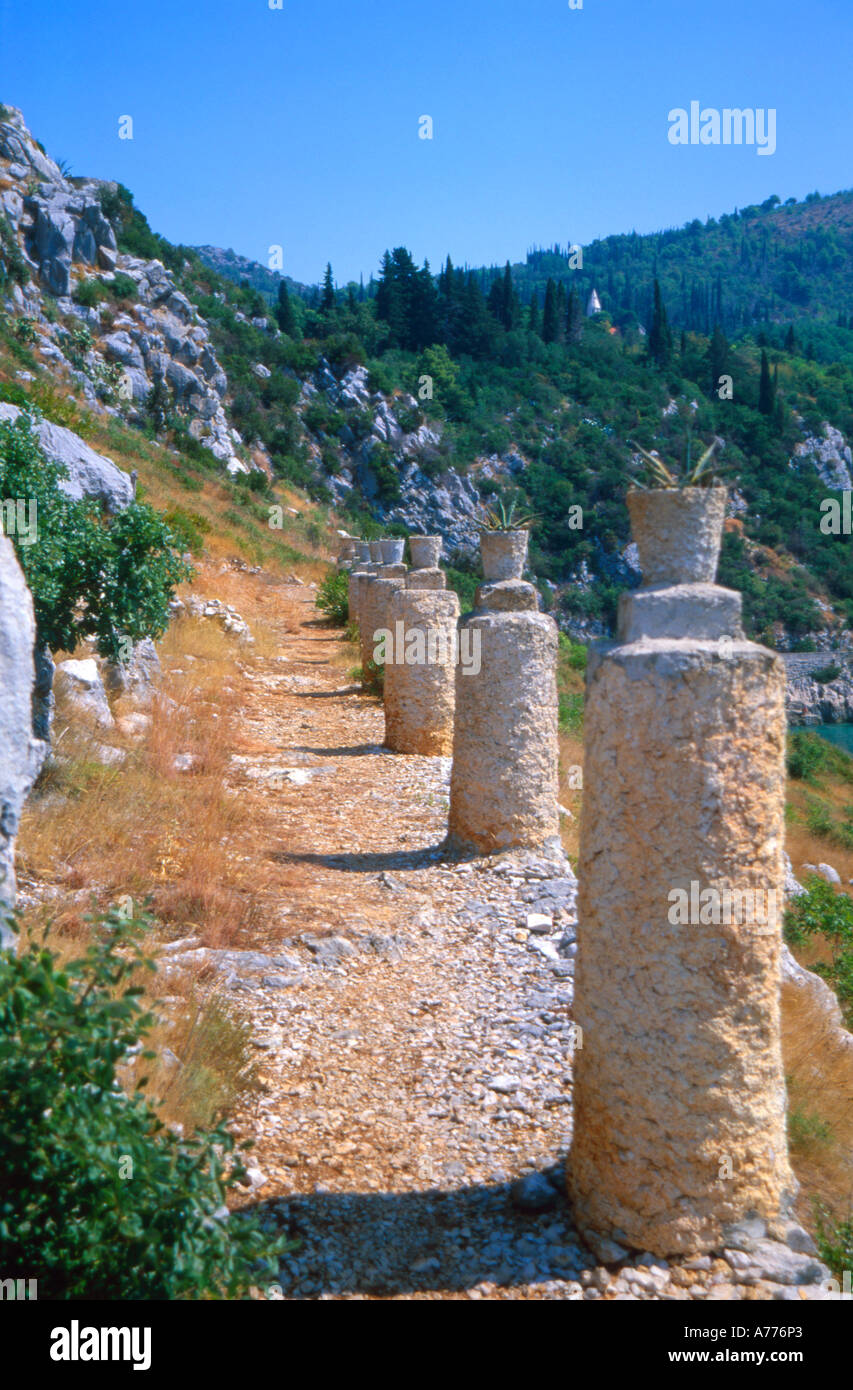 Croatia trsteno arboretum hi-res stock photography and images - Alamy