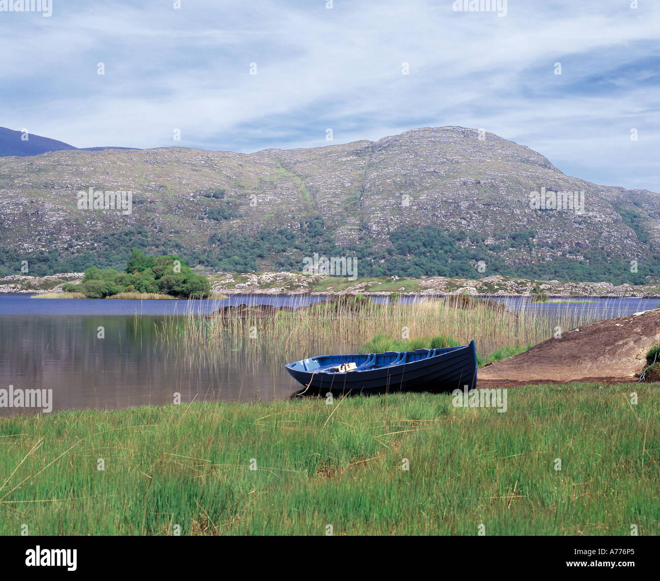 ireland, county kerry, killarney national park, beauty in nature Stock ...