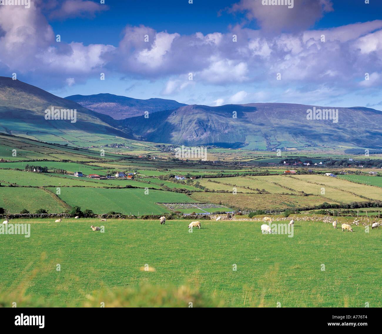 ireland, county kerry, dingle peninsula, annascaul, beauty in nature ...