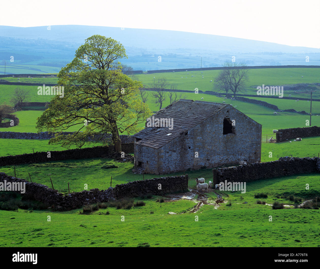 landscape of irish countryside, sloping landscape with lush green ...