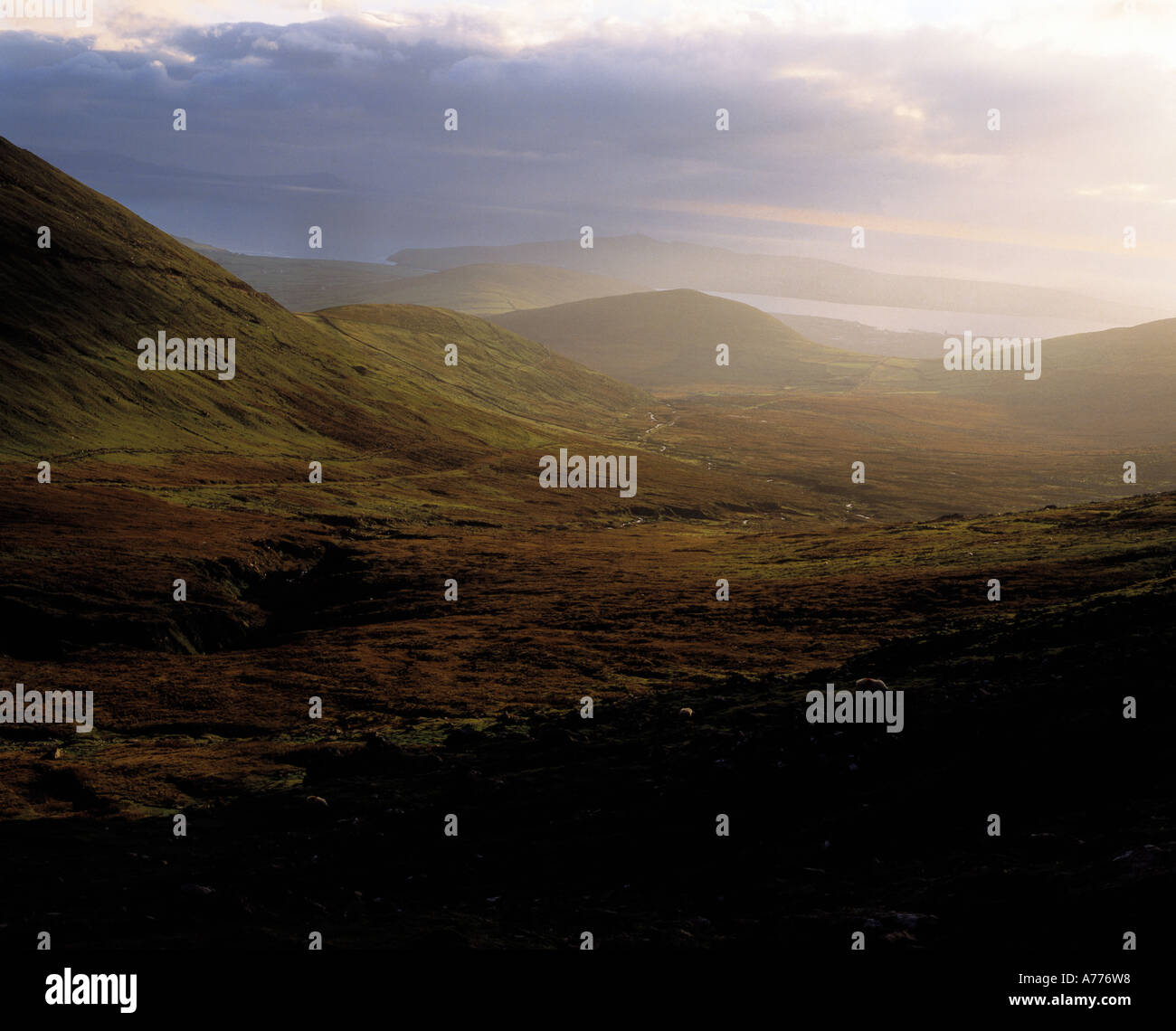 Ireland, conor pass, dingle peninsula,co kerry, mountain valley sloping ...