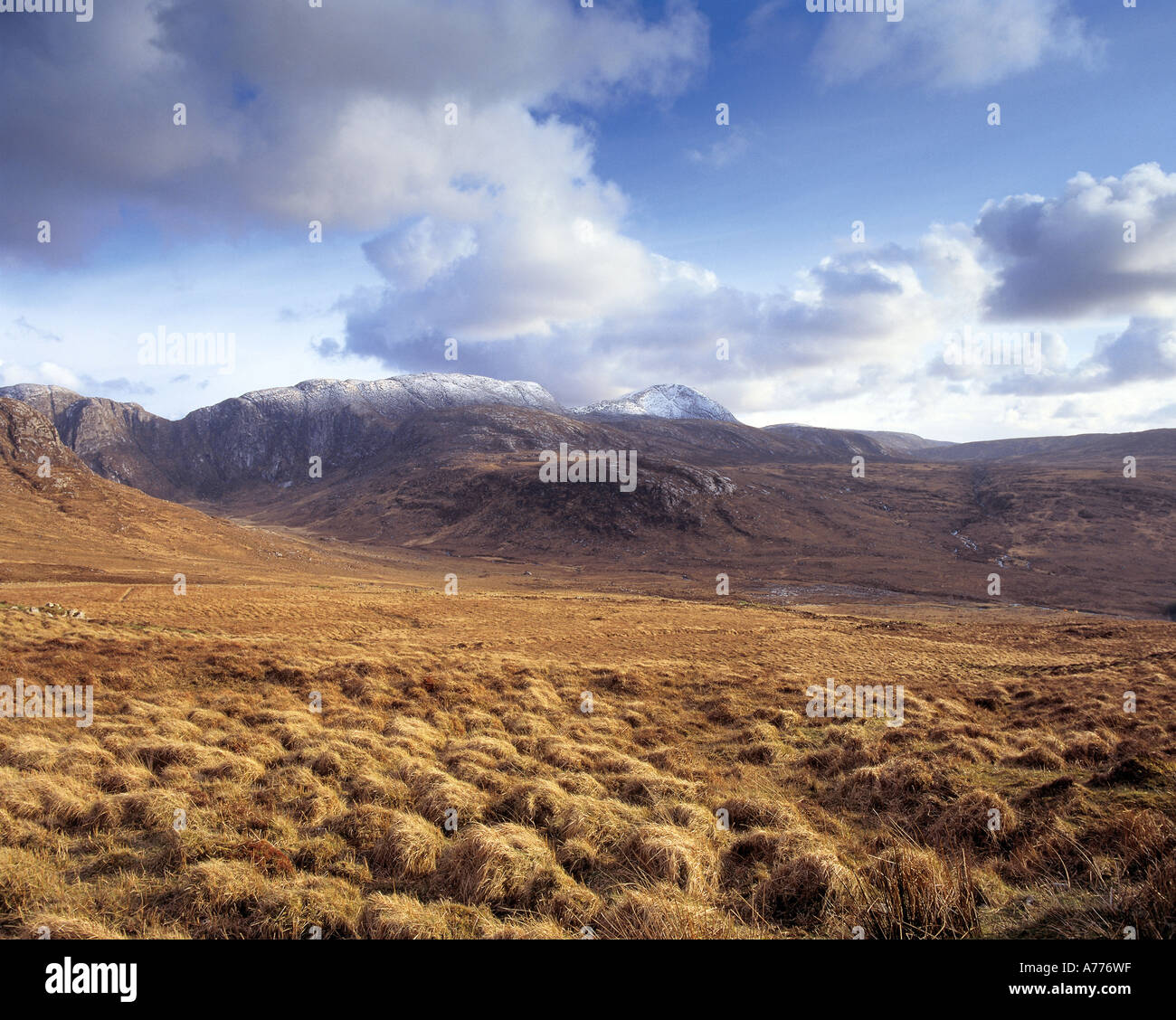 irelands natural mountainside and vegetation Stock Photo - Alamy
