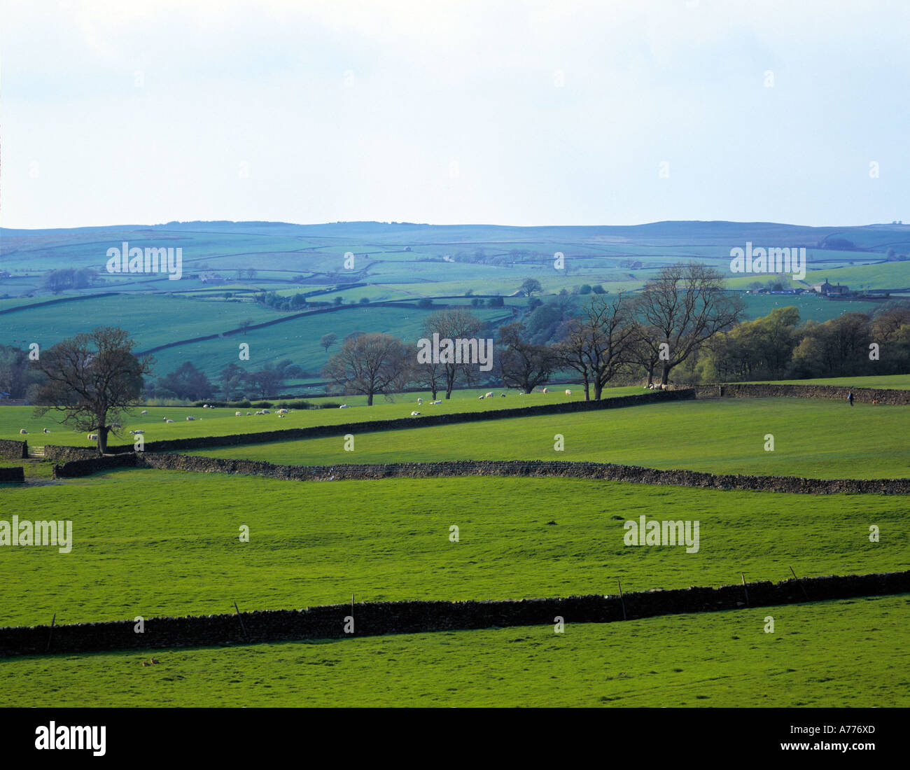 zig zag fences crossing the irish landscape Stock Photo - Alamy