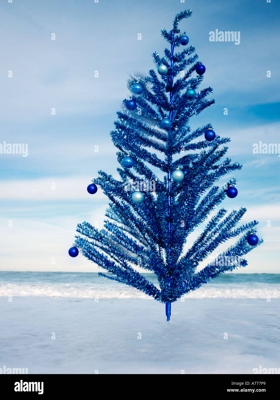 blue christmas tree on the beach Stock Photo - Alamy