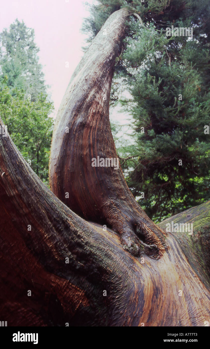 2314 hi-res stock photography and images - Alamy