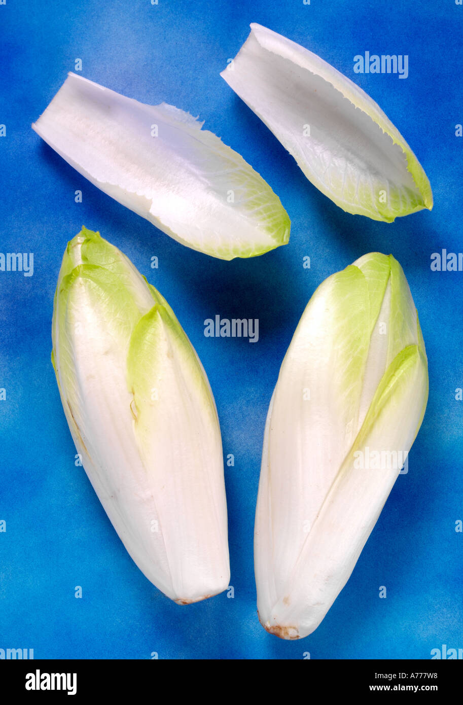CHICORY HEADS AND LEAVES Stock Photo - Alamy