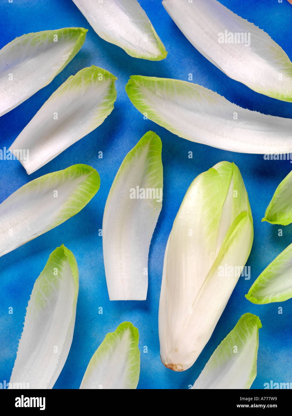 CHICORY HEADS AND LEAVES Stock Photo - Alamy