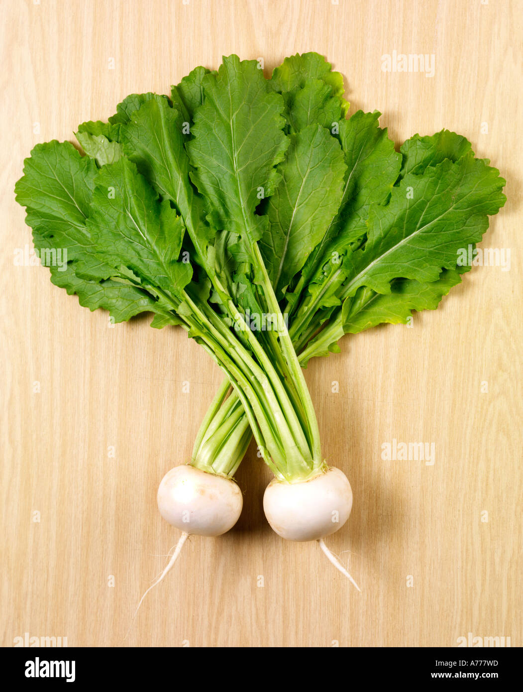 FRESH TURNIPS WITH LEAVES Stock Photo - Alamy