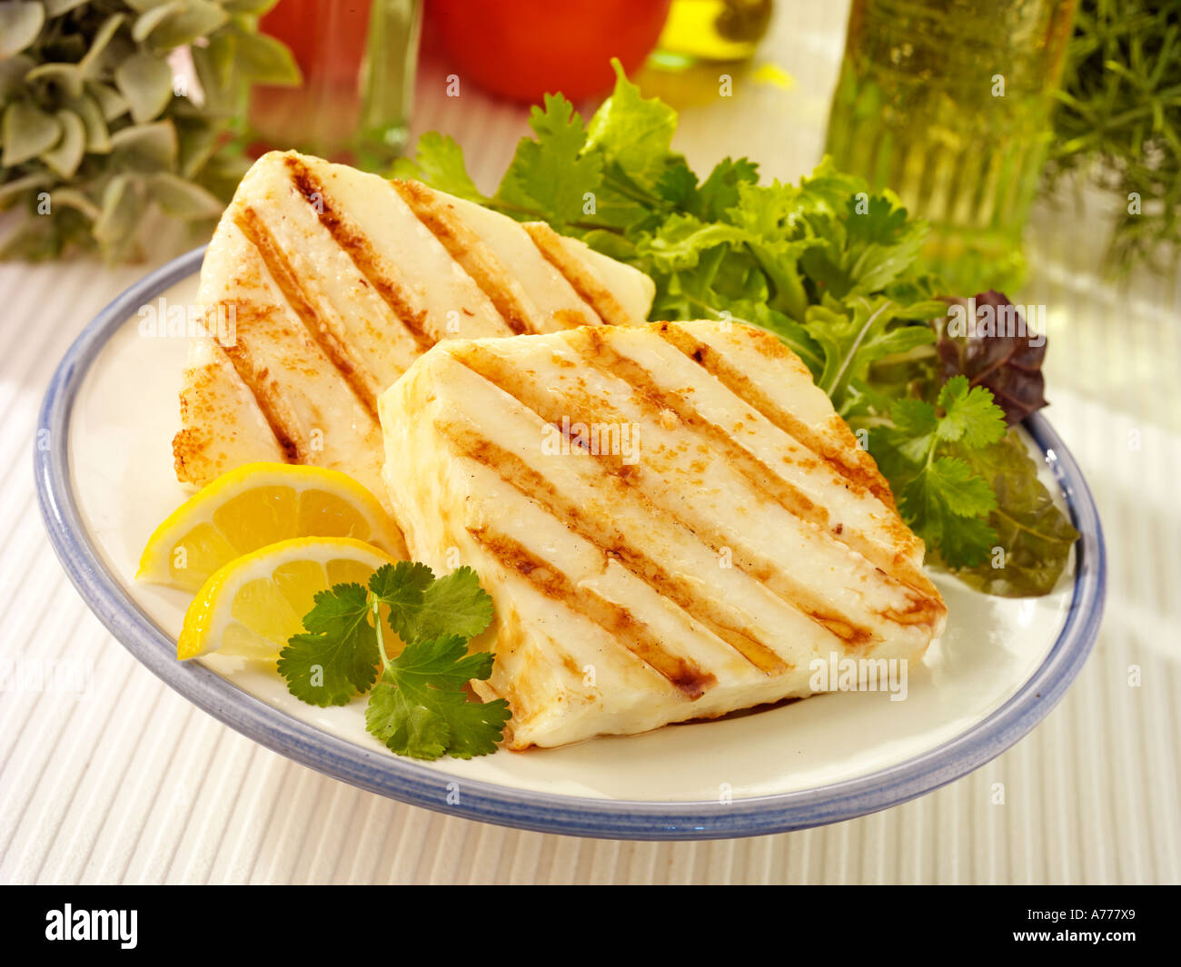 GRILLED GREEK HALLOUMI CHEESE Stock Photo - Alamy