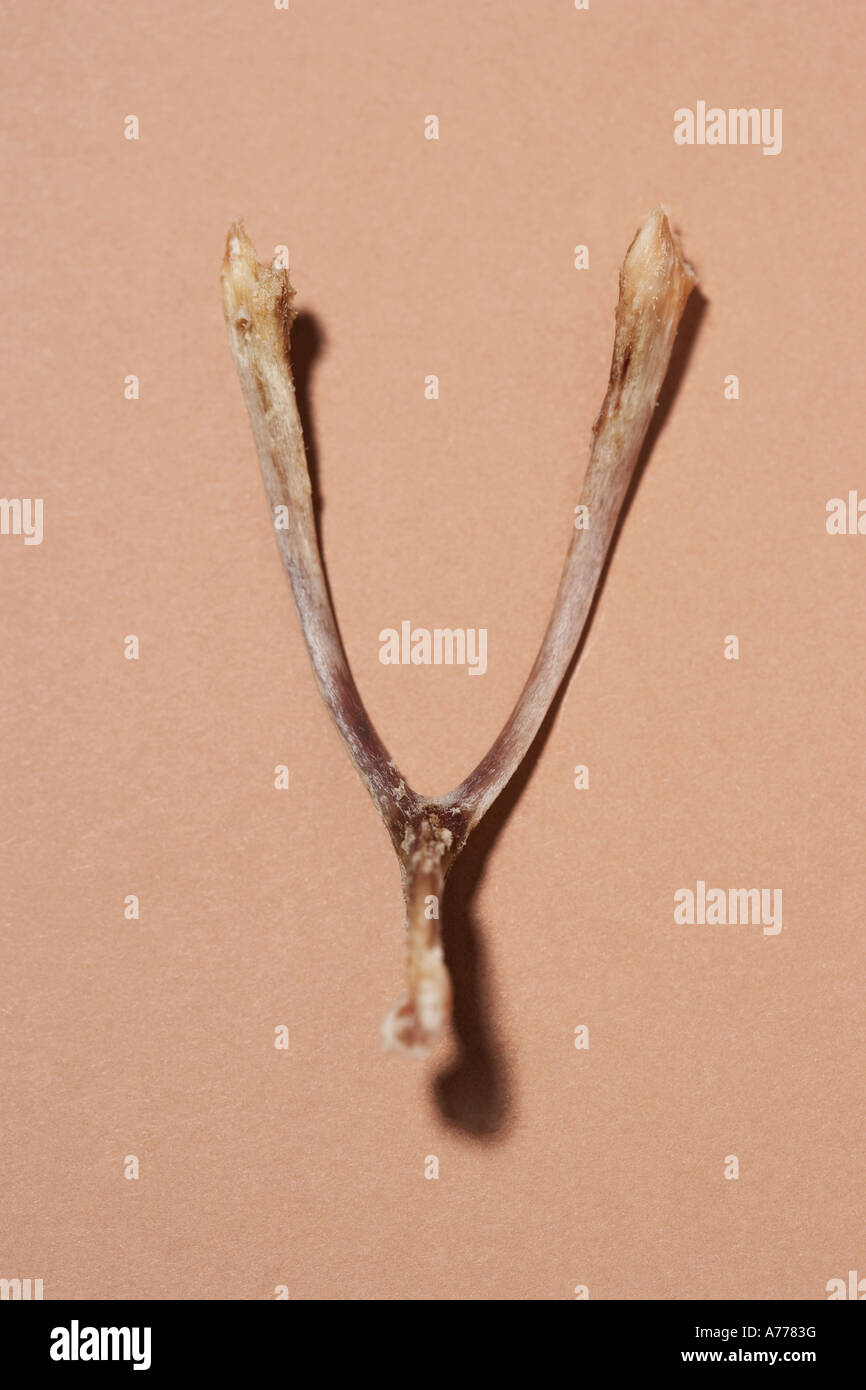 Wish bones hi-res stock photography and images - Alamy