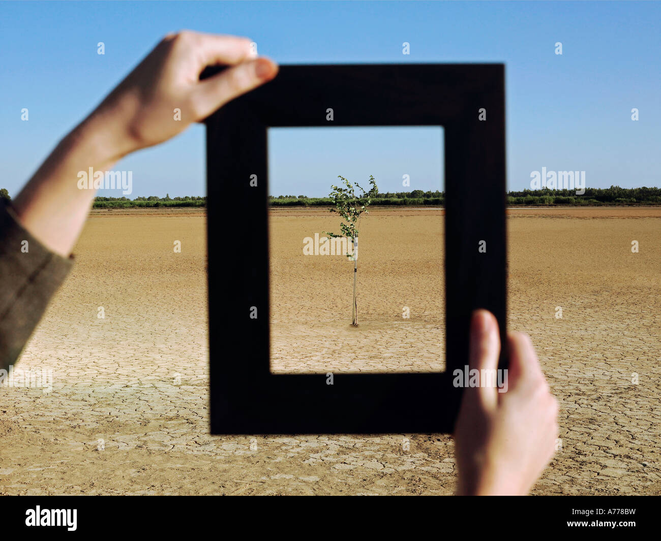 Framing tree hi-res stock photography and images - Alamy