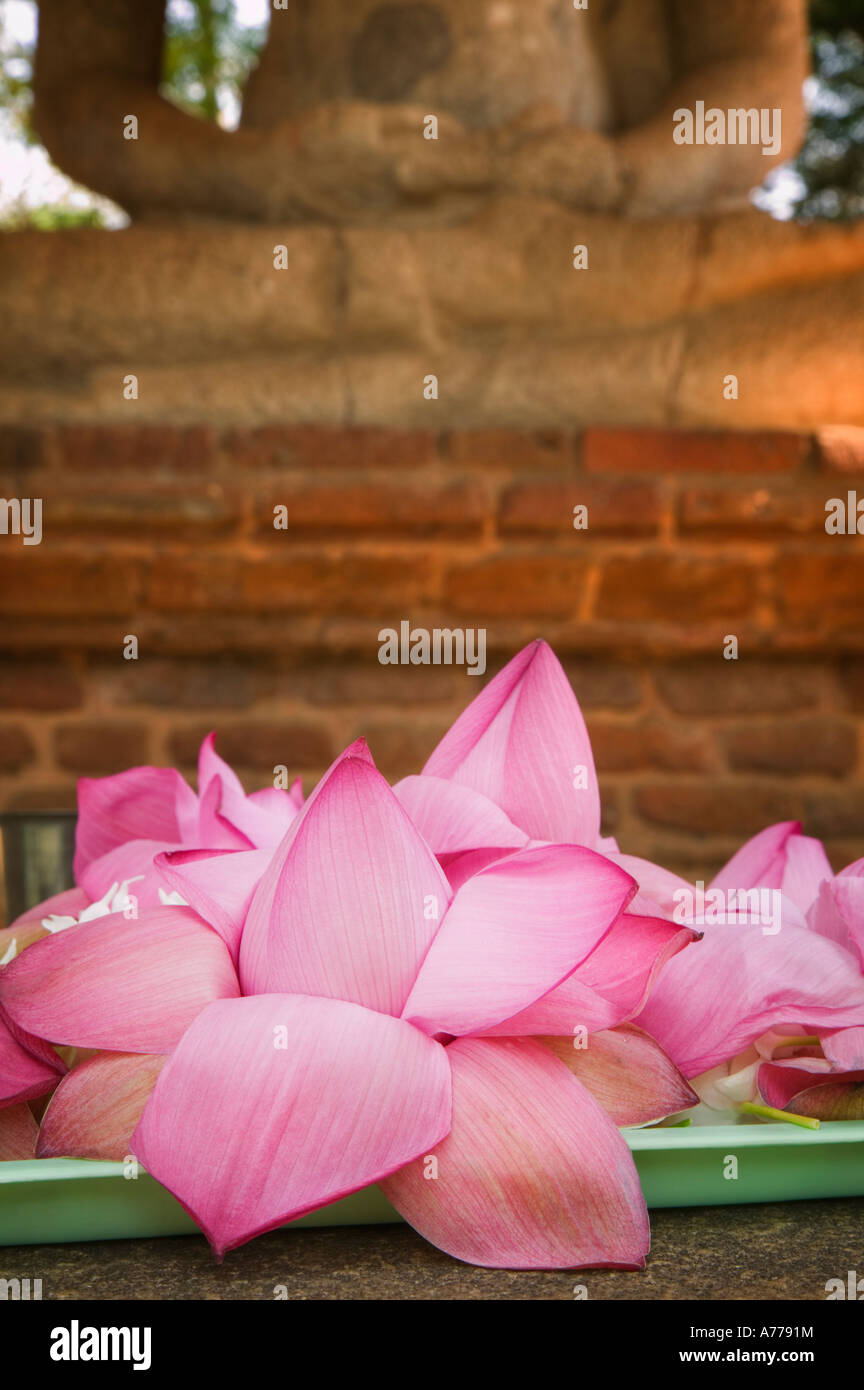 Flowers left at the Samadhi Buddha Statue, regarded as one of the ...