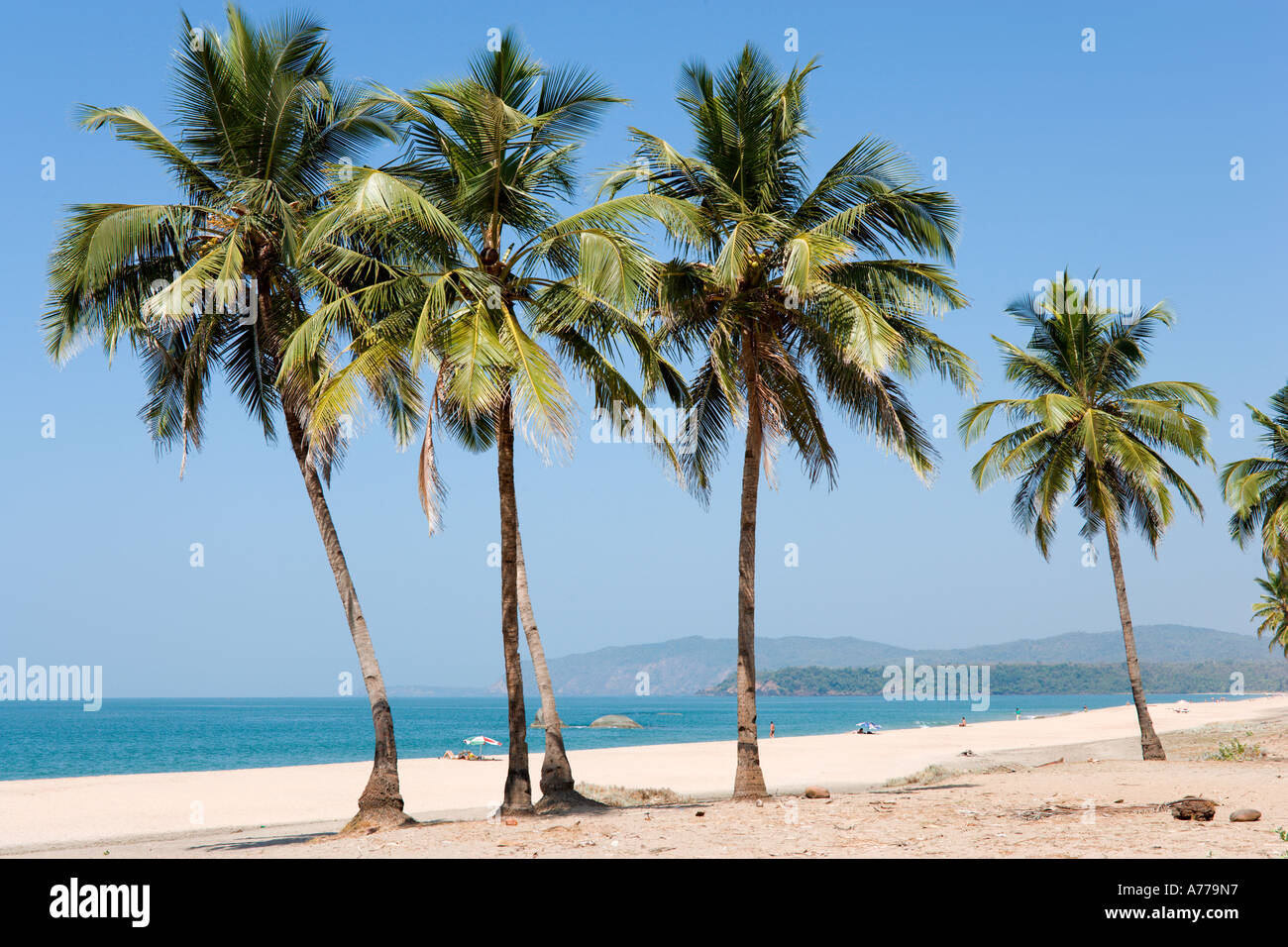 Palm tree goa beach hi-res stock photography and images - Alamy