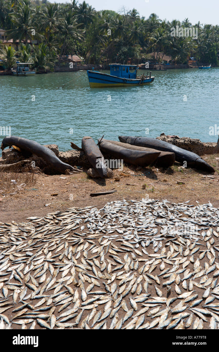 Fish drying in sun on the River Sal in the traditional fishing village ...