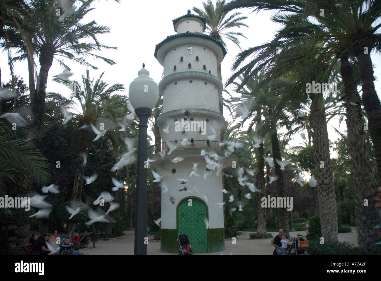 The Elx Palm Grove ELCHE Spain Stock Photo - Alamy