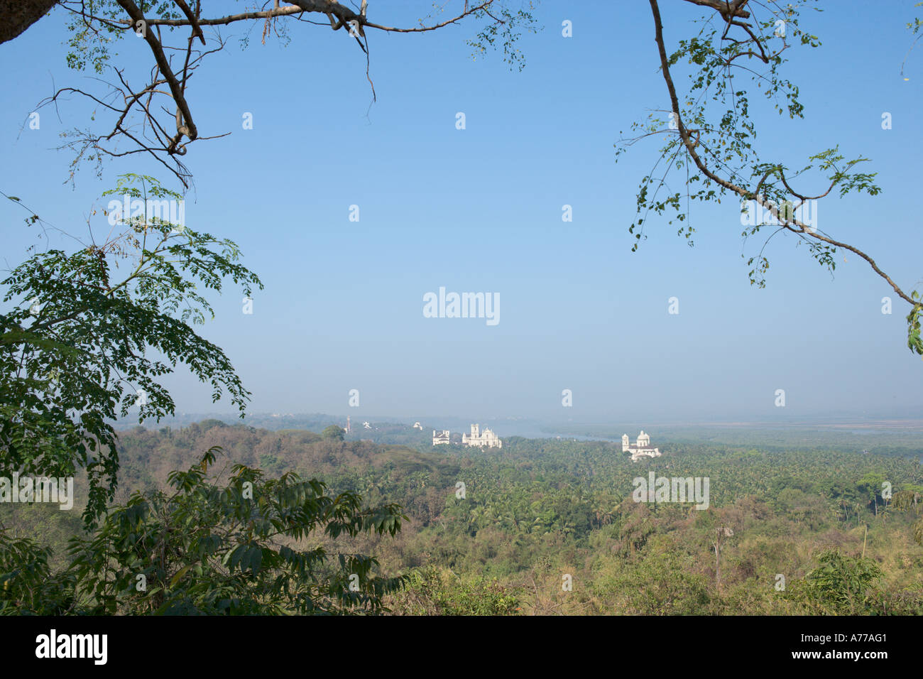 View over Old Goa (Velha Goa), Goa, India Stock Photo - Alamy